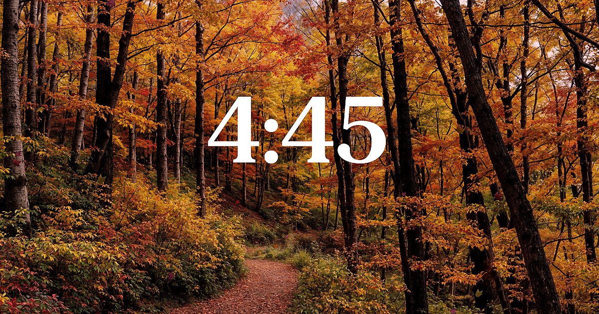 Forest Fall Minimal Countdown