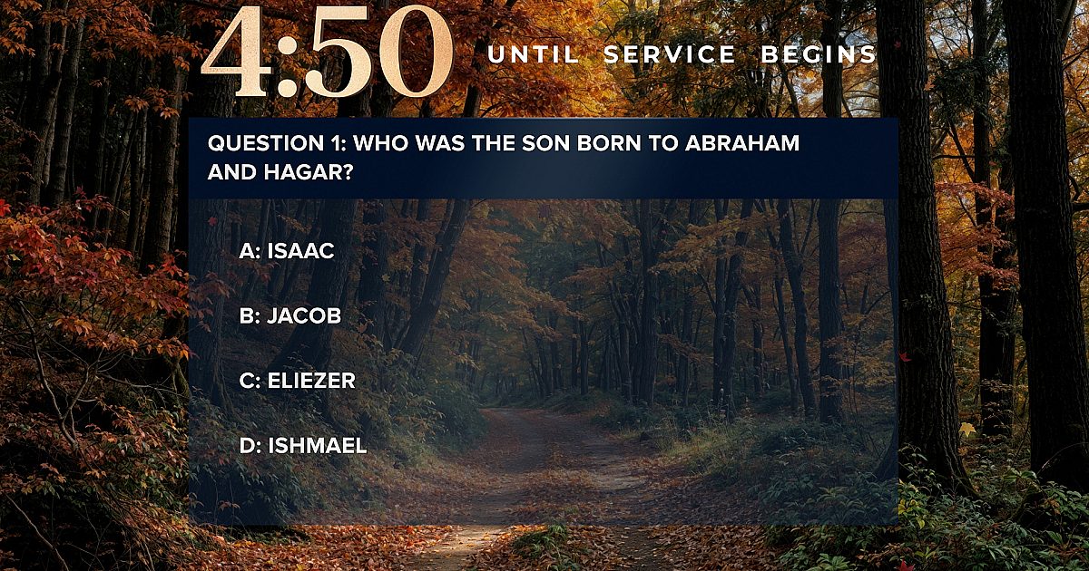 Forest Fall Trivia Countdown